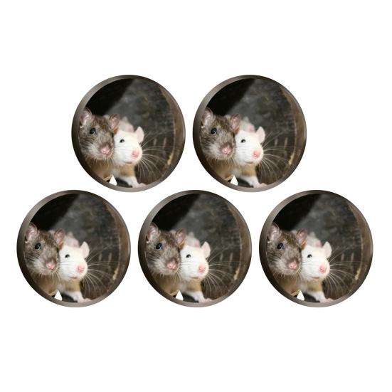 Buy 5Pcs/Set DIY Decoration Realistic Durable Cute And Funny Mouse Wall ...