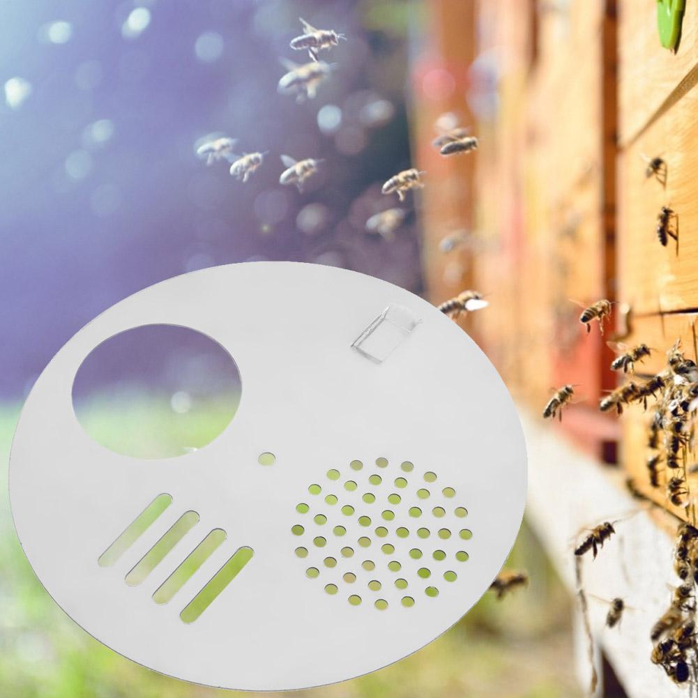 Buy Bee Beehive for Entrance Gate Garden Bee Box For Long Time Use at ...