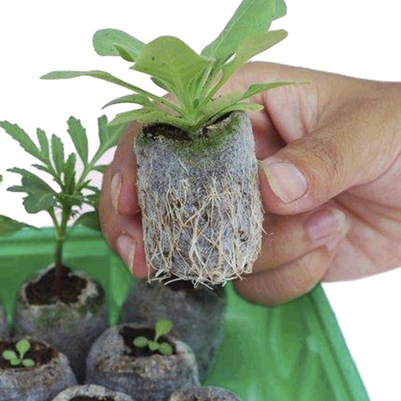 Buy 5 / 20 / 100 30Mm Peat Granule Seed Start Plug Seedling Soil at ...