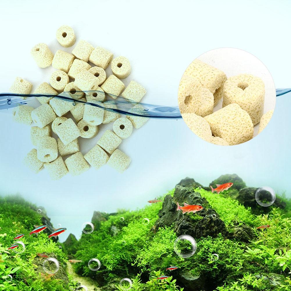 High Quality Ceramic Bio Rings Filter Media For Aquarium Fish Tank ...