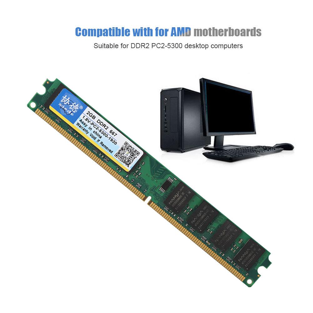 Xiede 667MHZ 2G 240pin RAM Memory Designed for DDR2 PC2-5300 Desktop ...