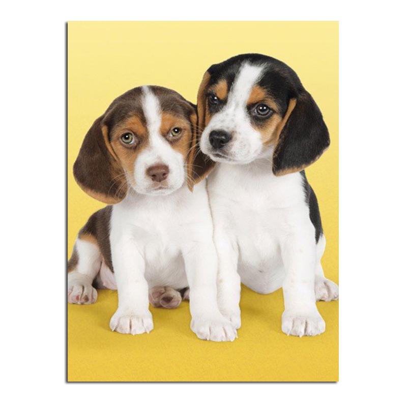 Buy 3d Diamond Embroidery 2019 Dog 5d Diamond Mosaic Full Round Diamond ...