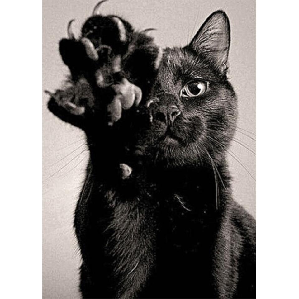 Buy DIY 5D Black Cat Diamond Painting Rhinestone Picture Full Animal ...