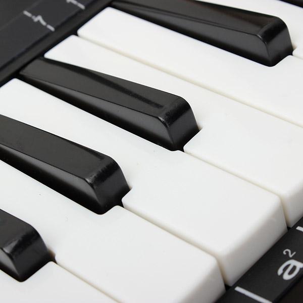 Buy SWAN SW-37K 37 Keys Music-Fundamentals Melodica Mouth Organ With ...