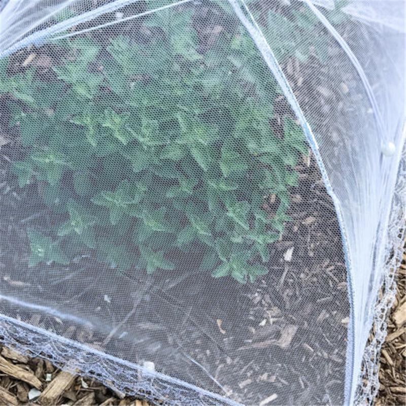 Buy Homedo 6pk Pop -Up Outdoor Food Cover Umbrella 17 ”Mesh Tent ...