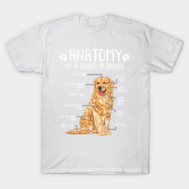 Buy T Shirt Women Funny Anatomy Golden Retriever Dog Lover Gift Prem Harajuku Print Kawaii ...