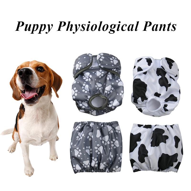 Buy Dog Physiological Pants Pet Safety Pants Male Female Dog Diapers ...