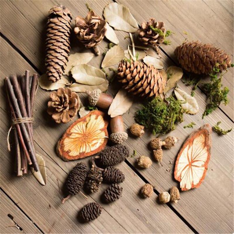Cheap Multi-type Natural Branches Acorn DIY Material Package Micro ...