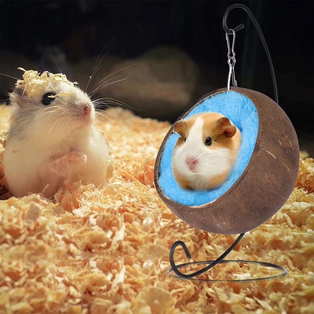 Buy Accessories Warm Pad Hideaway Coconut Shell Hamster Bed Comfortable ...