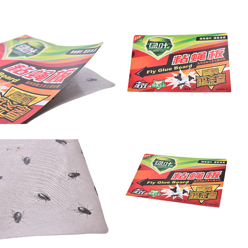 Buy 1/3PCS Sticky Glue Pest Insect White Fly Thrip Fruitfly Gnat ...