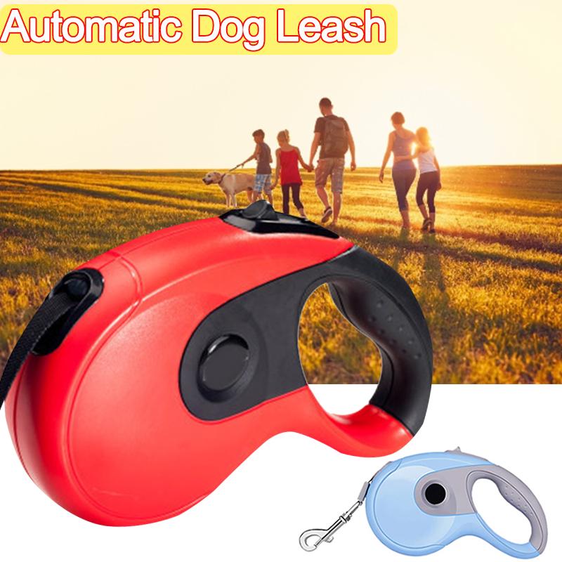 Buy 5M Portable Dog Automatic Telescopic Leash Rope Dog Leash Dog Leash ...
