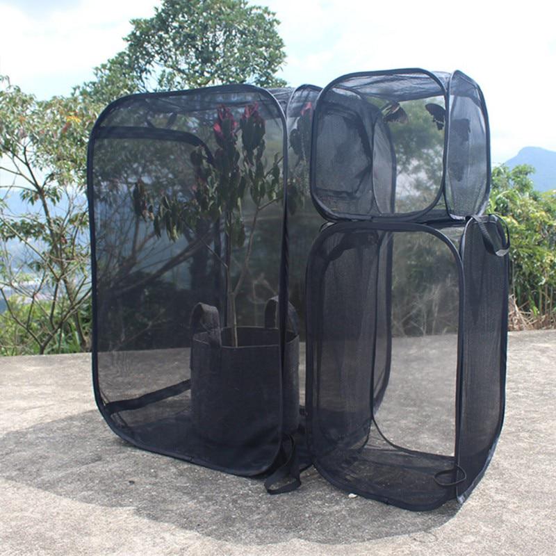 Buy Insect Proof Butterfly Habitat Cage Transparent Plant Seedlings ...