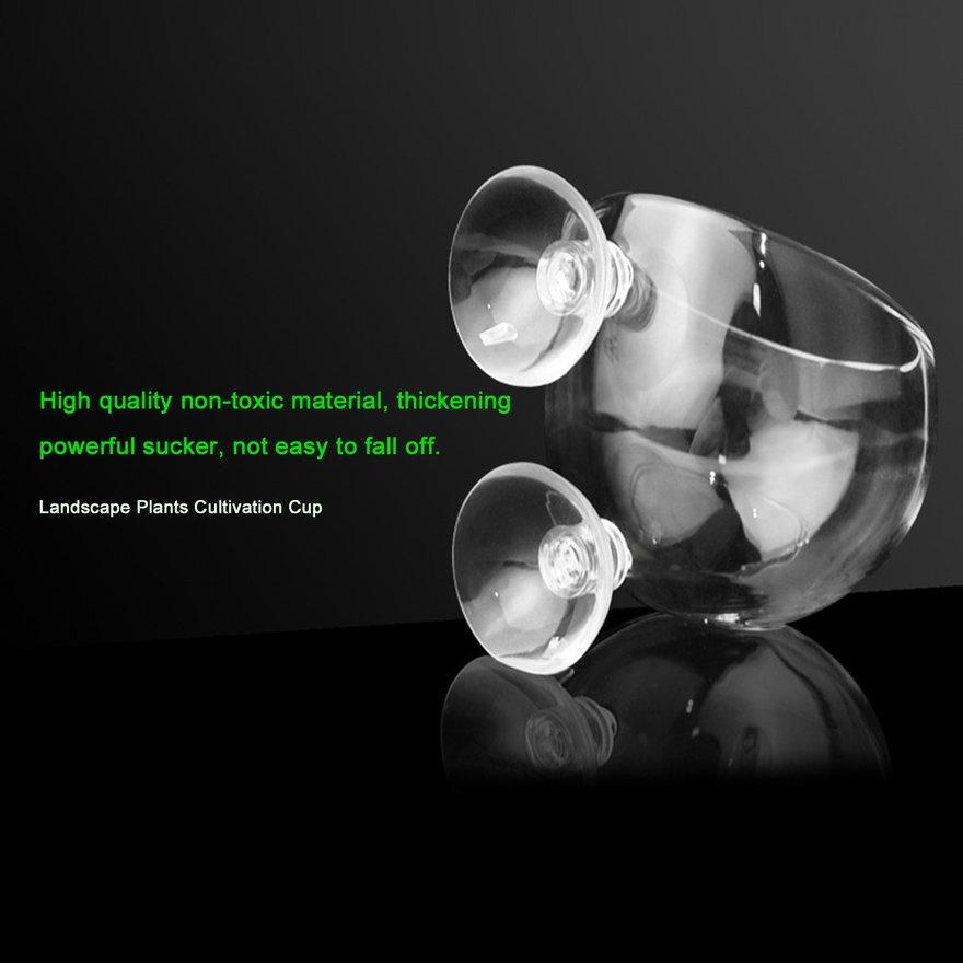 Buy GGHH Landscape Plants Cultivation Basin Basin Landscape Polka Fish ...