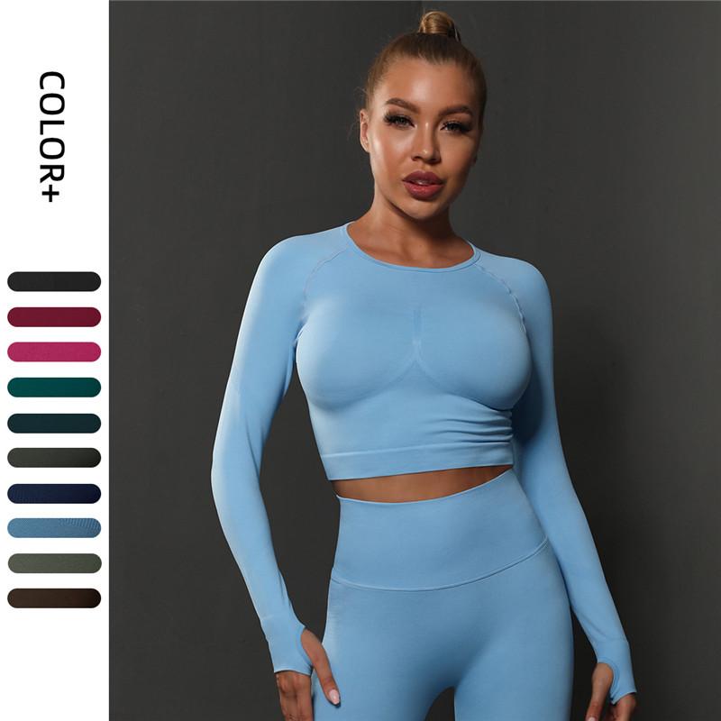 Buy Nessaj Woman Long Sleeve Yoga Top Seamless Gym Running T Shirt Slim Elastic Fitness Sports ...