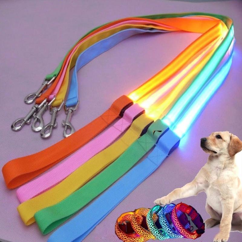 Buy Colorful Led Light Dog Leash Night Safety Walking Training Pet Lead ...