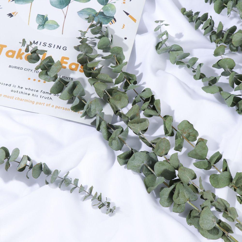 Buy Party Supply Floral Arrangement Real Palnt Branches Stems Natural ...