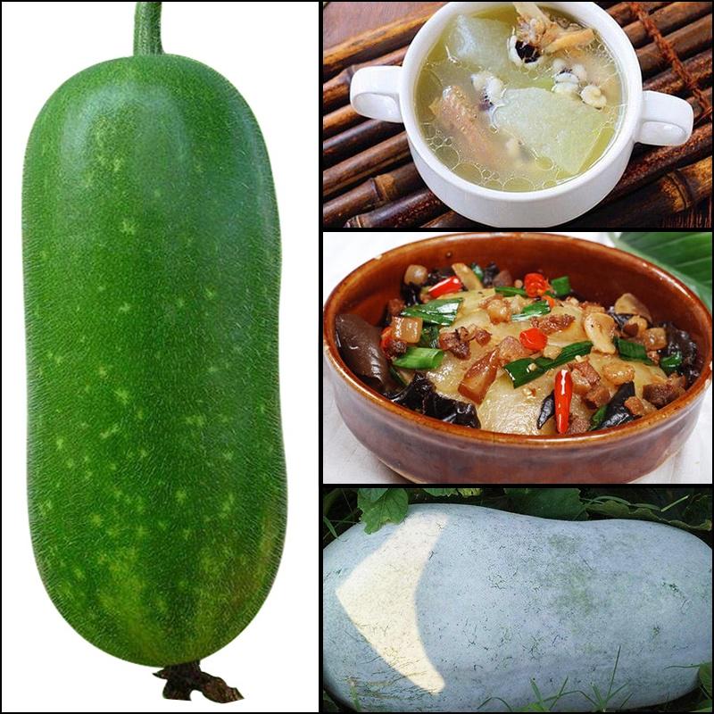 Wax Gourd Seeds Organic Benincasa Hispida Big Wax Gourd Vegetable uygun ...