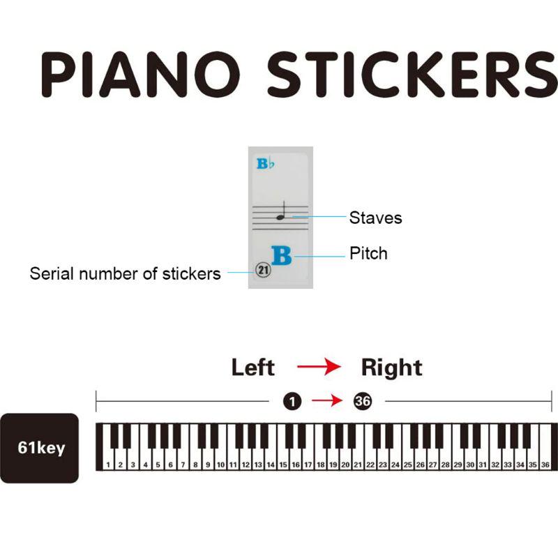 Buy DIY Sticker Piano Keyboard Stickers Specially for 61 Key.Colorful ...