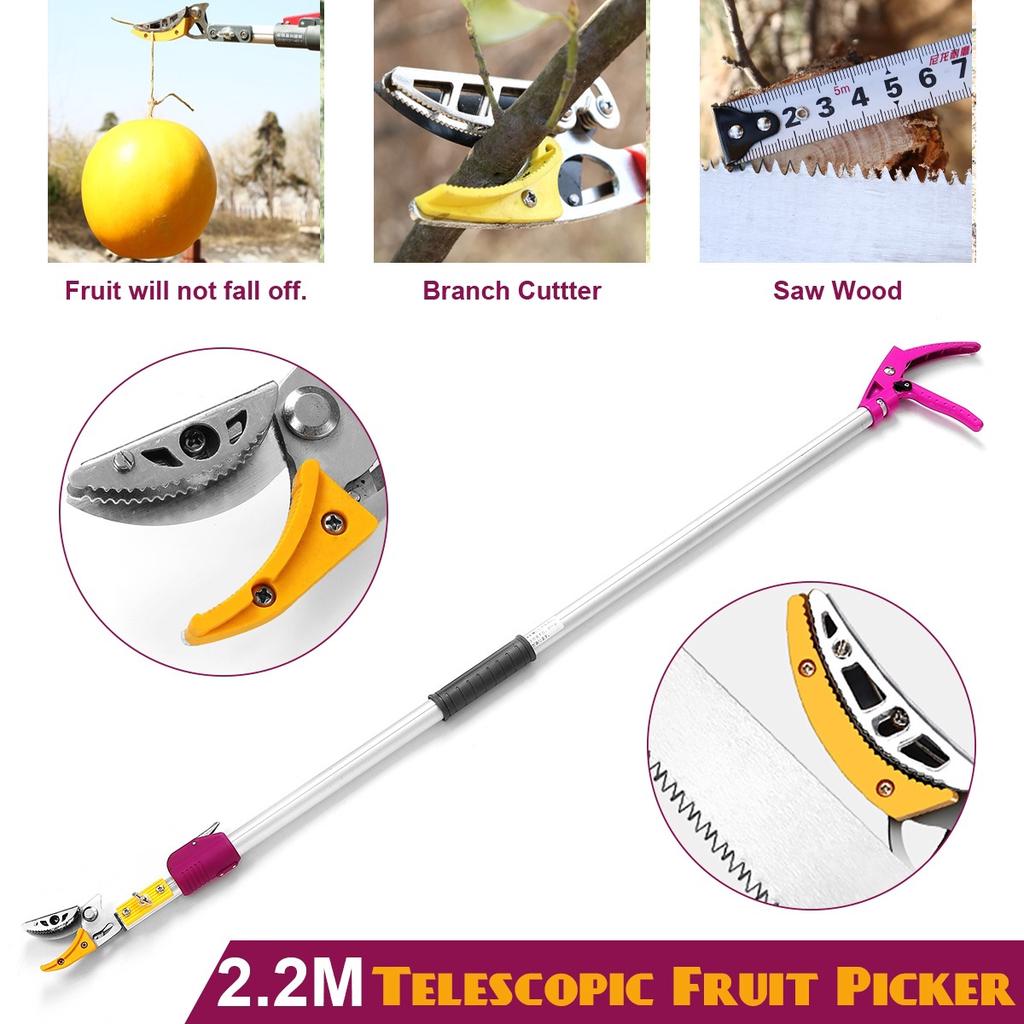 Buy Pruning Tools Telescopic Tree Ratchet Lopper Pruner Extending ...