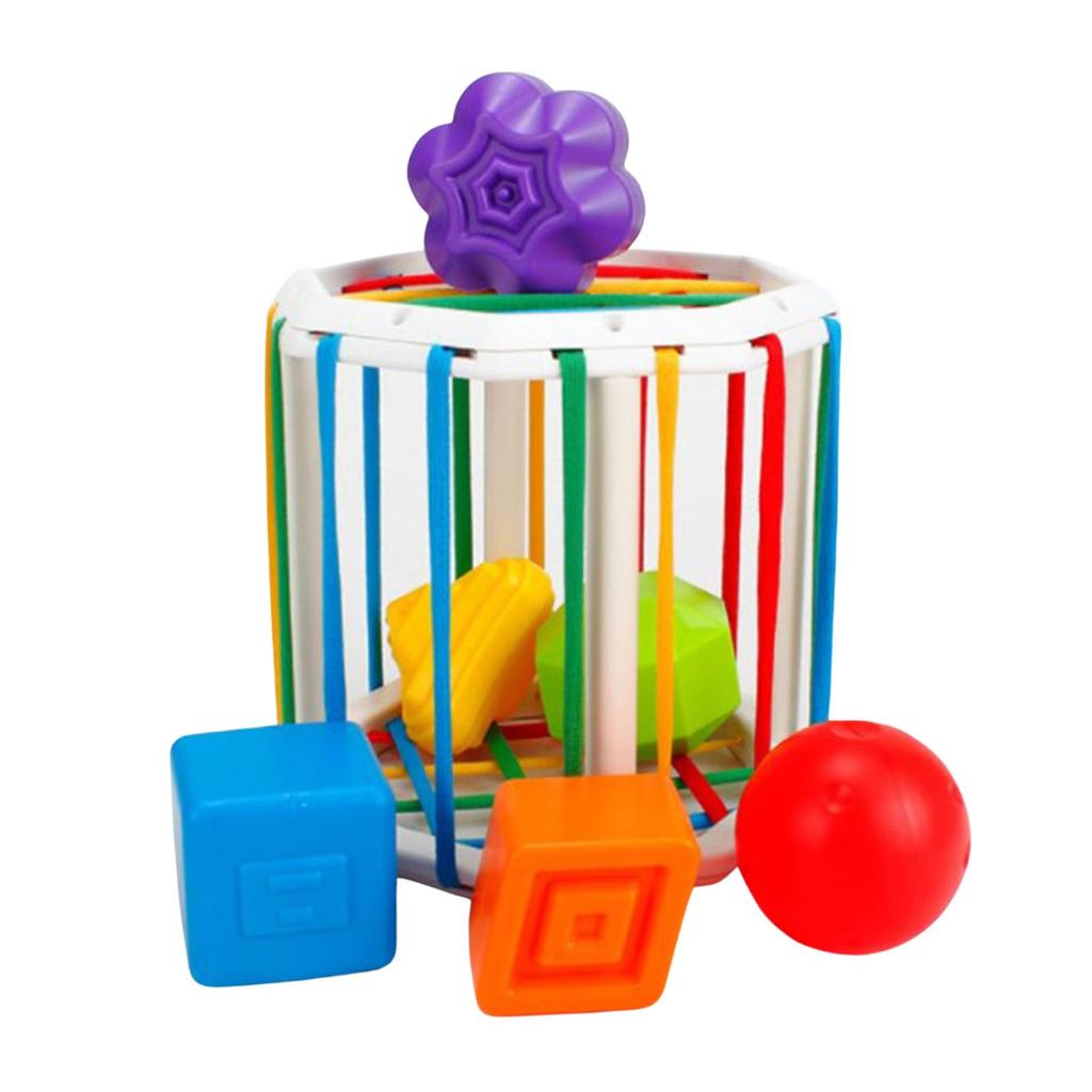 Buy Baby Shape Sorting Toy | Sorter Toys Colorful Bungee Cord | Octagon ...
