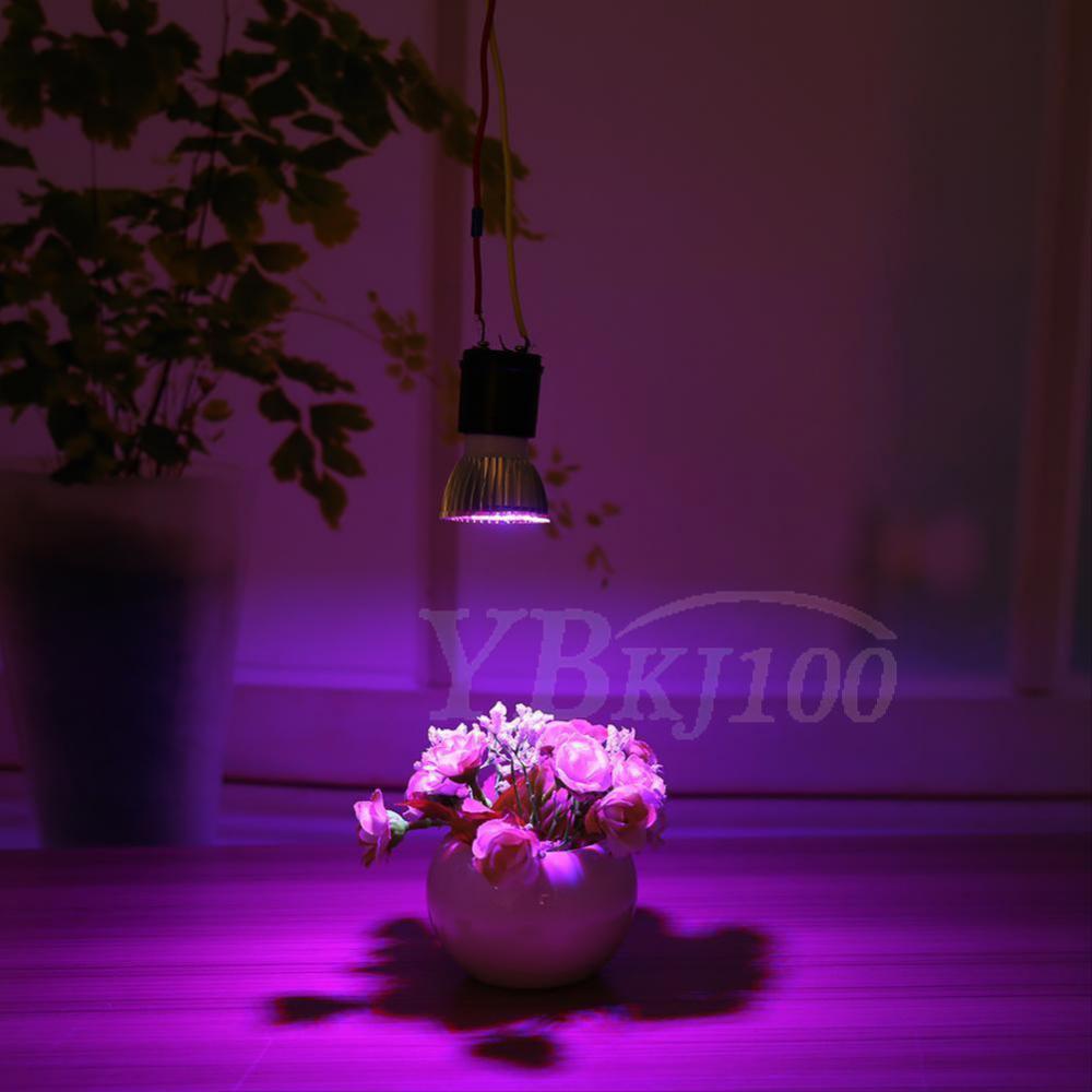 Buy E27 10W Full Spectrum LED Growing Light Bulb Lamp For Flowers ...