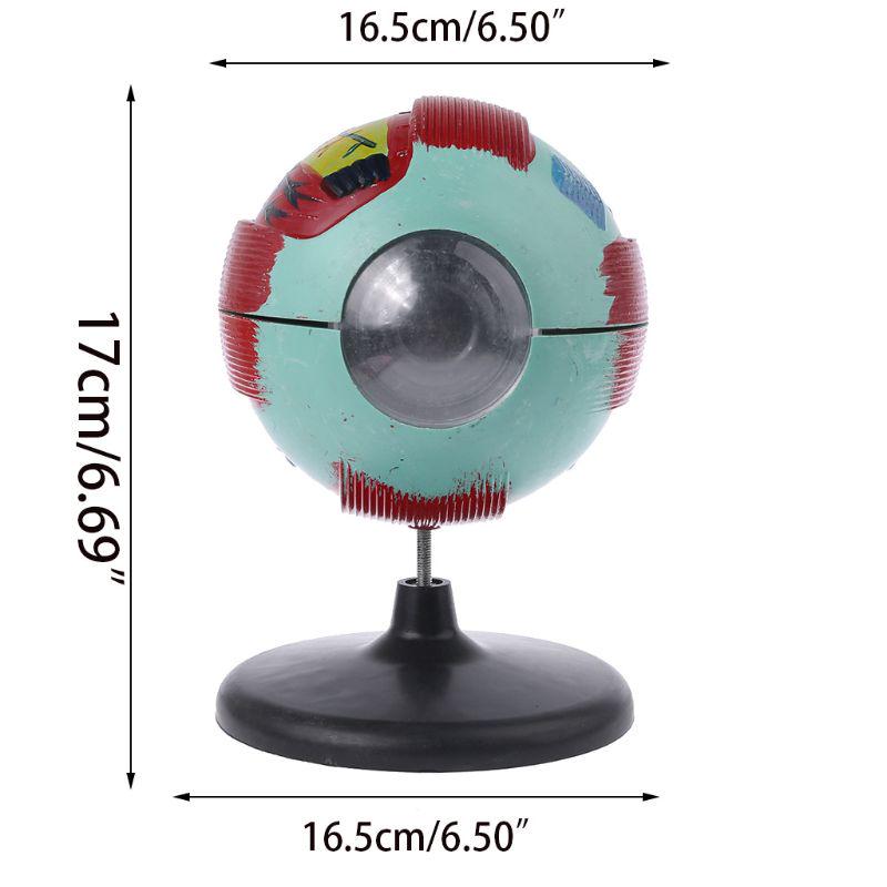 6x Human Eye Eyeball Model Eyeball Internal Structure Learn Anatomical ...
