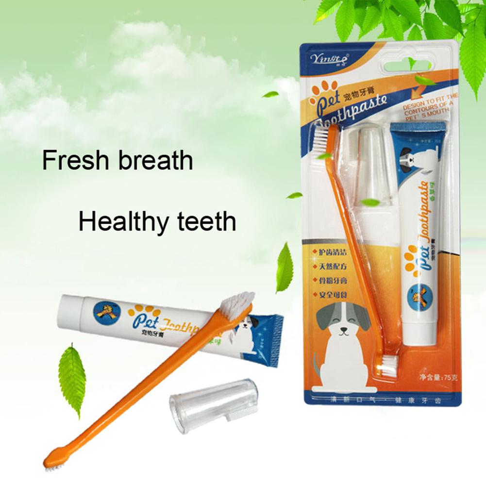 Buy Pet Dog Cat Vanilla/Beef Flavor Toothpaste Toothbrush Oral Hygiene ...