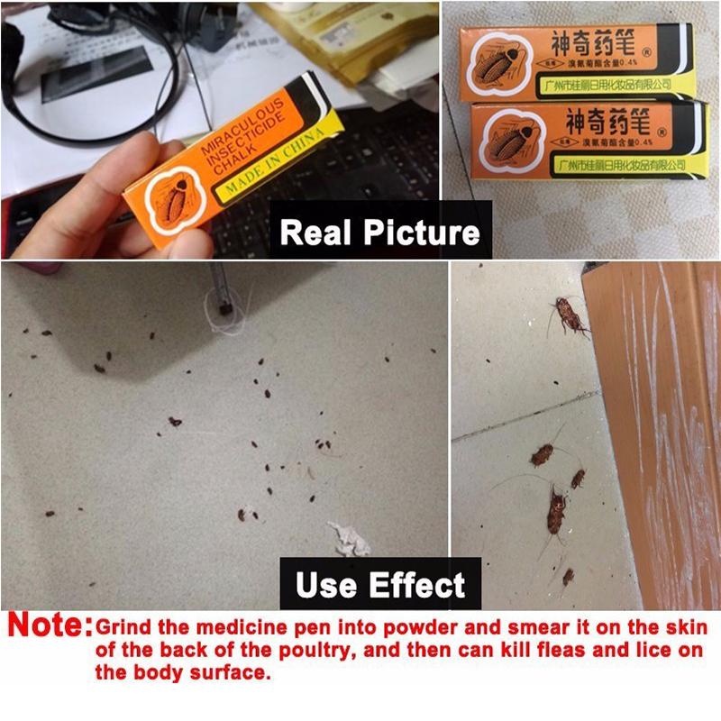 Buy Anti Cockroach Killing Bait Box Miraculous Insecticide Chalk Pest ...