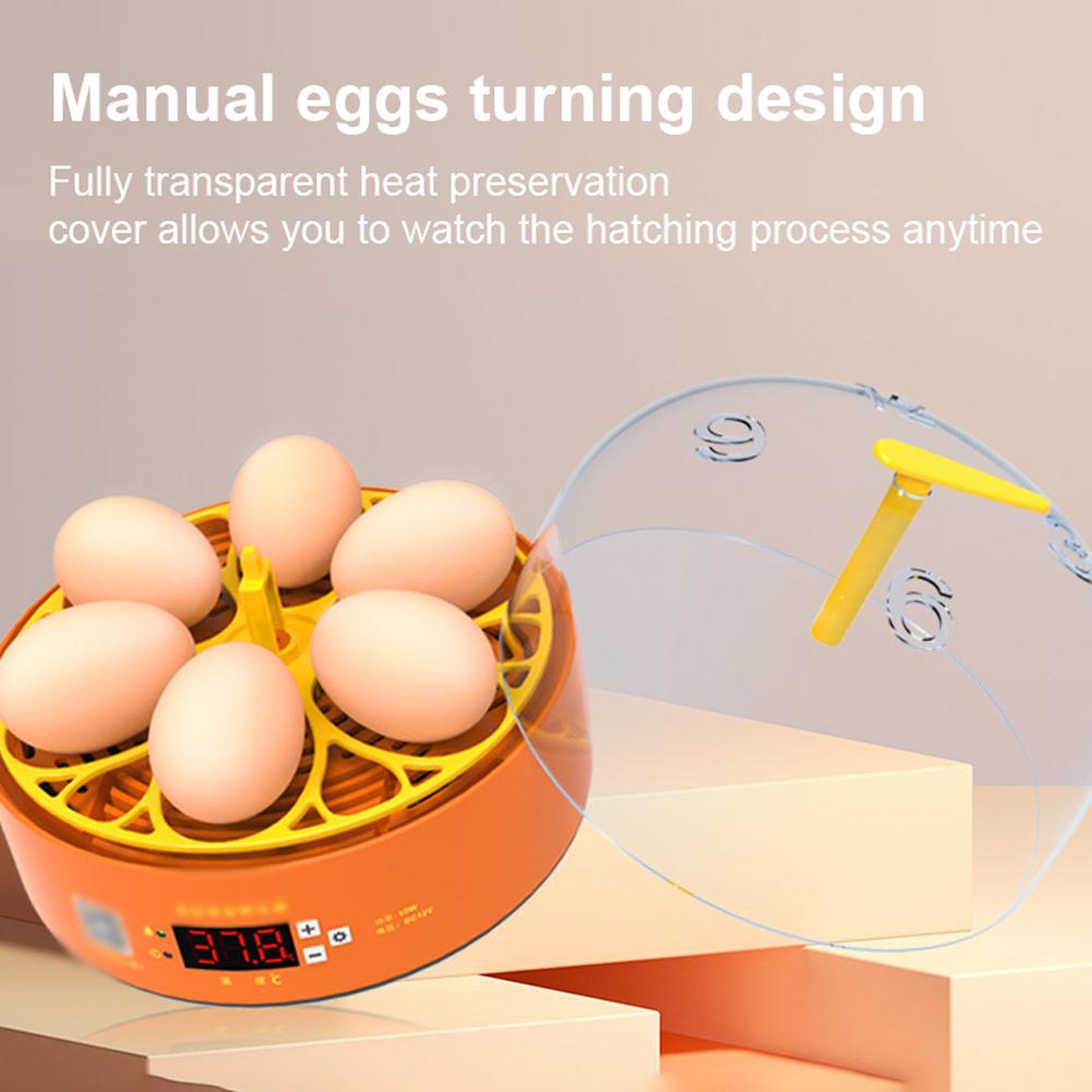 Buy 6 Eggs Eggs Incubator Chicken Incubator PID Heating Machine ...