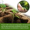 Buy Nursery Pot Biodegradable Paper Pulp Peat Pots Plant Cup US Nursery ...