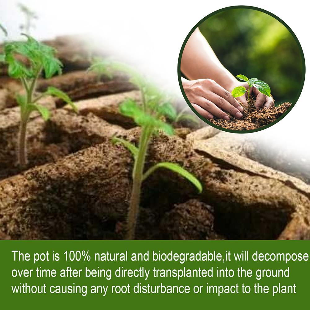 Buy Nursery Pot Biodegradable Paper Pulp Peat Pots Plant Cup US Nursery ...