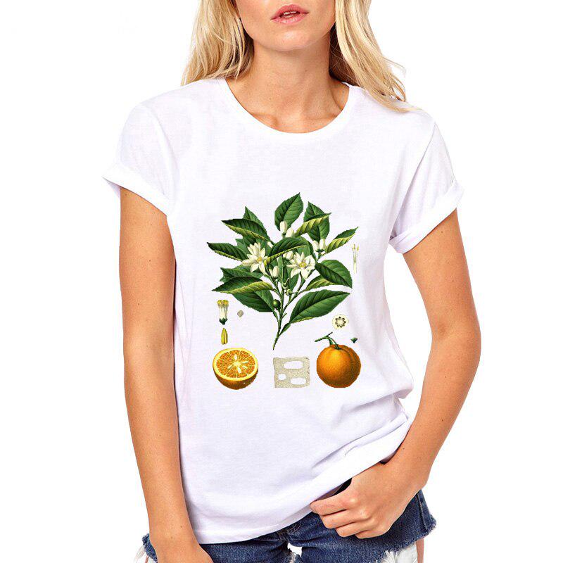 Buy Orange Plant T Shirt Woman Casual White Tshort Sleeve T Shirt ...