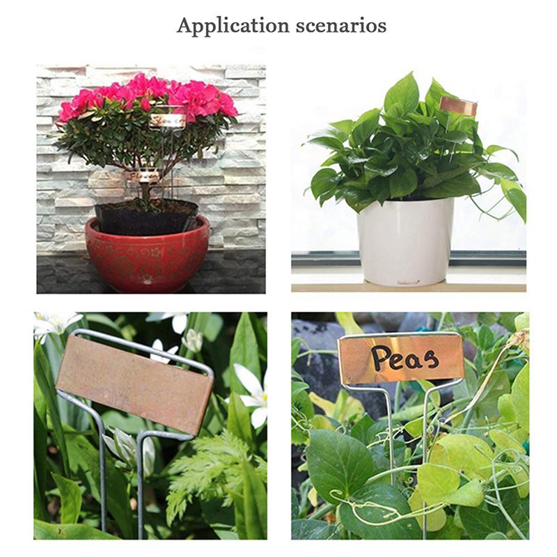 10/25/50PCS Copper Plant Label Plate Metal Plant Tags Garden Stake ...