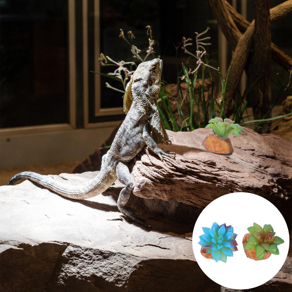 Buy Stephanie Store2PCS Lifelike Reptiles Box Plants Decor Landscaping ...