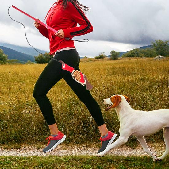 Satın alın Durable Heavy Duty Exercise Training Soft Teaser Wand Dog ...