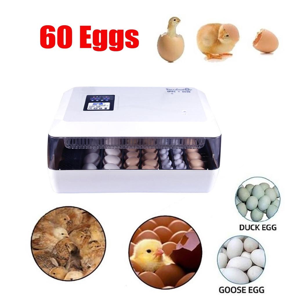 Buy 60 Eggs Digital Mini Automatic Eggs Incubator with Turner Hatcher ...