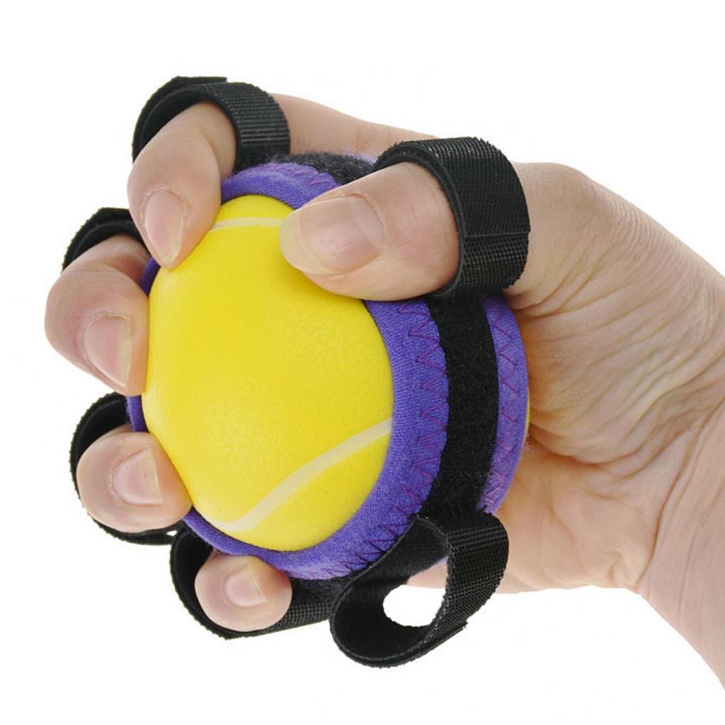 Buy Hand Grip Strengthener Exercise Ball Finger Resistance Squeezer at ...