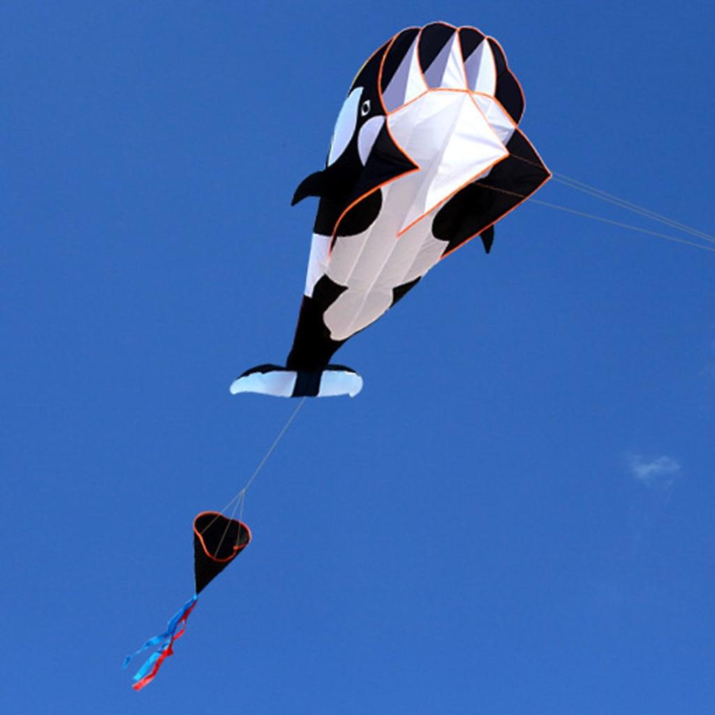 Buy SX 3D Huge Frameless Soft Parafoil Giant Killer Whale Kite With 30m ...