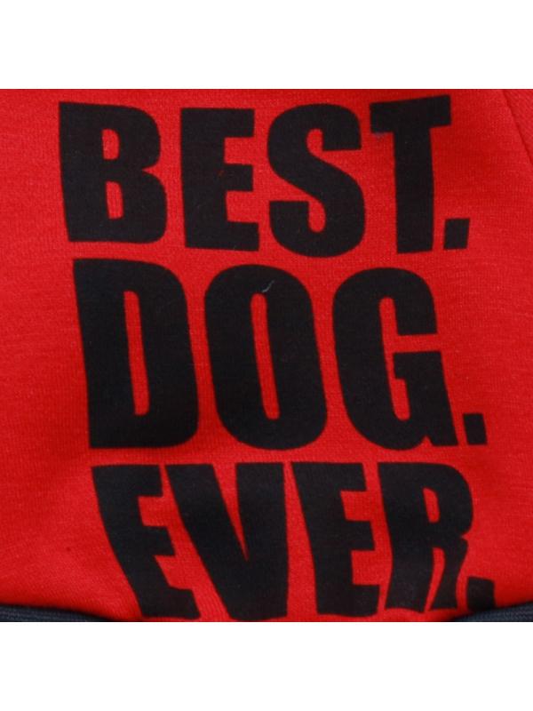 Buy Small Dog Letters Fleece Red T-shirt For Autumn And Winter ...