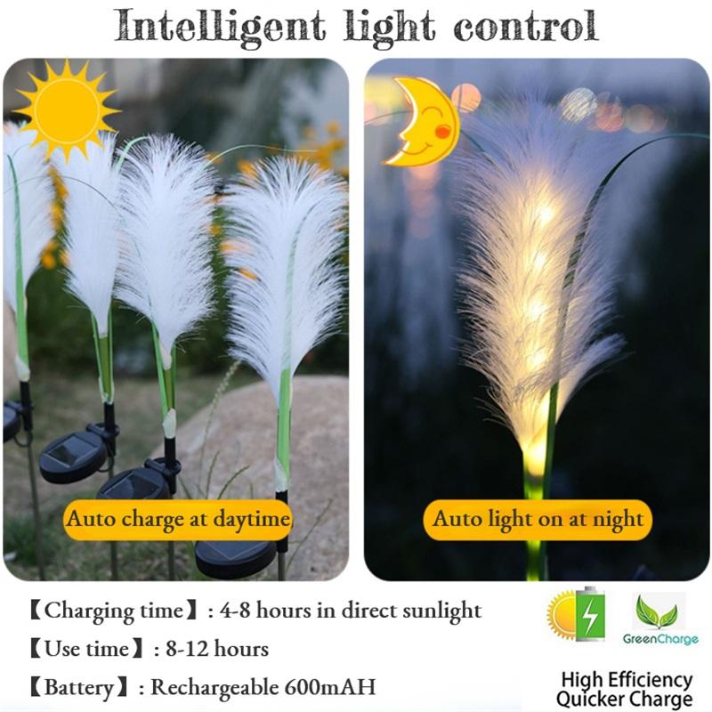 Cheap Solar Reed Lights Waterproof LED Garden Lights Auto Sensor Garden ...