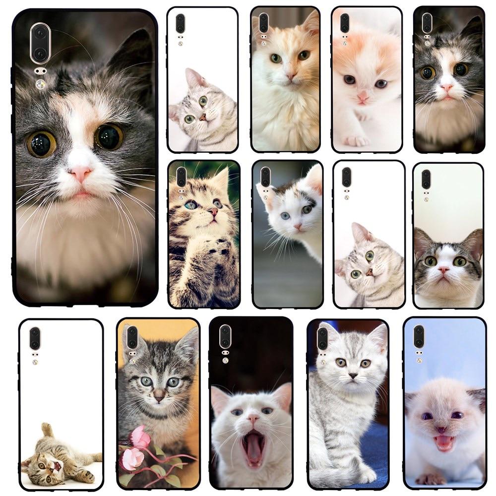 Buy Cat Phone Case for Huawei P30 Cover P9 P10 P20 Lite P Smart Mate 10 ...