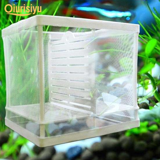 Buy Isolation Net Hatchery Aquarium Supplies Plastic Fish Tank Breeding ...