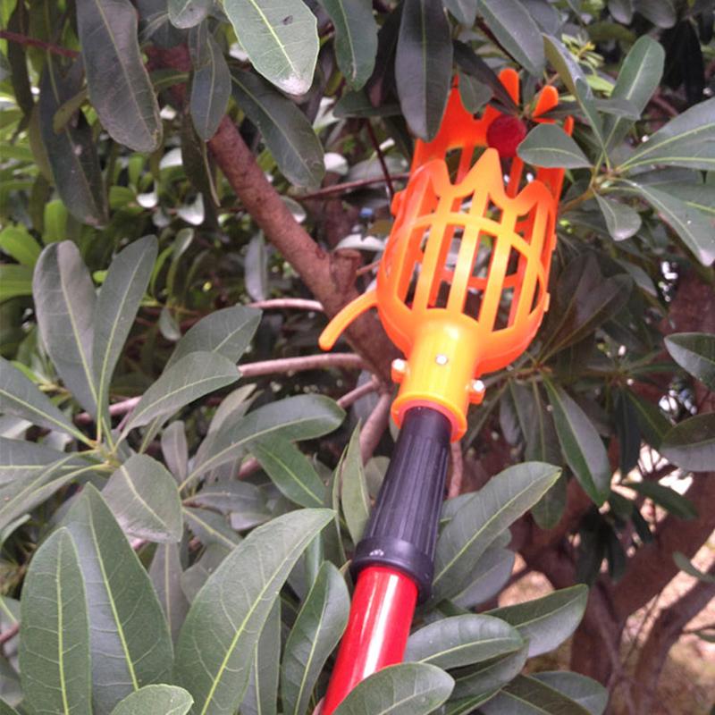 Buy Practical Fruit Picker Gardening Collection Picking Head Catcher ...