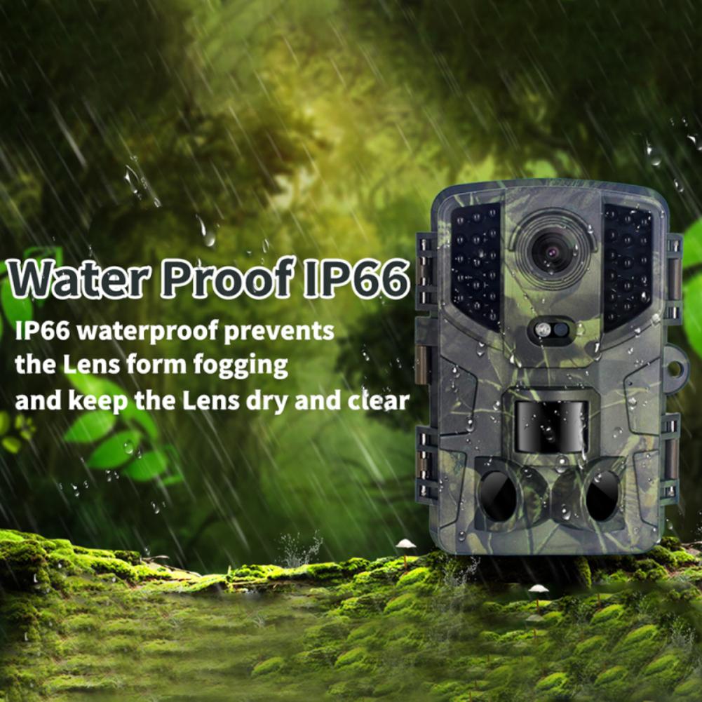 Buy PR800 Hunting Tail Camera 1080P HD IP66 Waterproof 32 Infrared ...