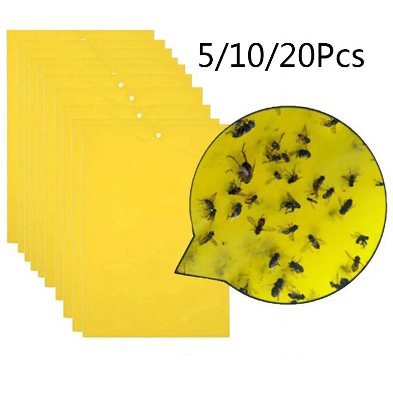 Buy 5/10/20Pcs Sticky Fly Traps Strong Flies Traps Bugs Sticky Board ...
