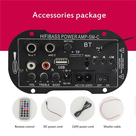 Buy Power Amplifier Aoard 5 Inch 12V 220V Bluetooth Car Digital ...