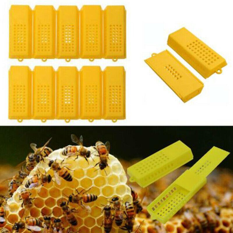 Satın alın 10pcs Extended Queen Bee Butler Cage Catcher Trap Case ...