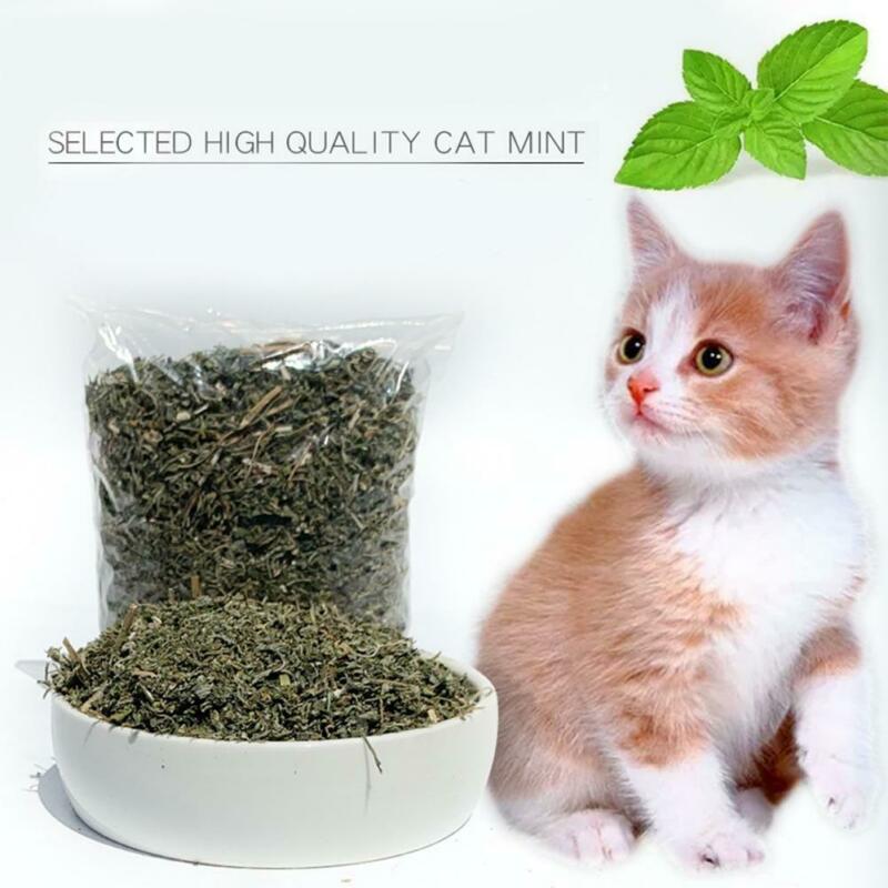 Natural Catnip Pet Cat Catnip Menthol Flavor Funny Toys Treat P8S8 ...