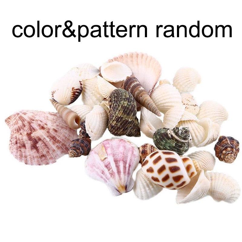 Buy 100g Mixed Beach Nautical Shells Aquarium Fish Tank DIY Decoration ...