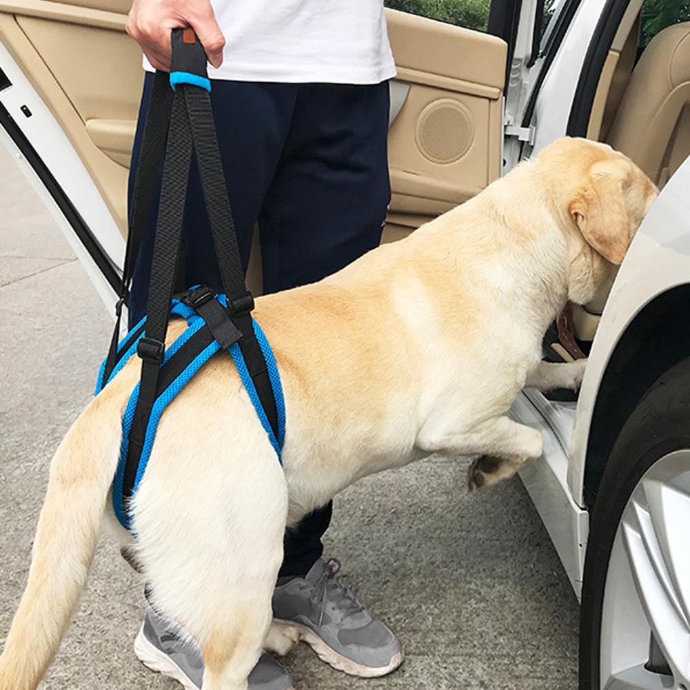 Pet Dog Auxiliary Belt Old Dogs Balance Support Belt Dog Support ...